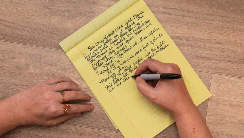 Online Course - The Zero Draft: How to Start Writing a Novel (Shaunta ...