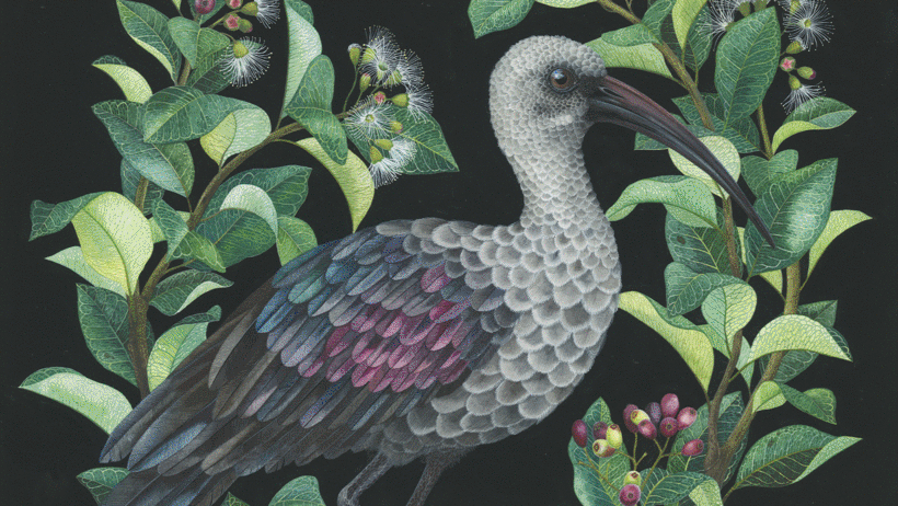 Online Course - Naturalistic Illustration in Watercolor and Gouache ...